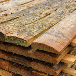 Dosse pin 130 x 2440 mm Classe IV - B comme Bois