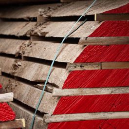 Plot Bossé - détail - B comme Bois