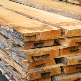 Plot châtaignier Bretagne - détail - B comme Bois