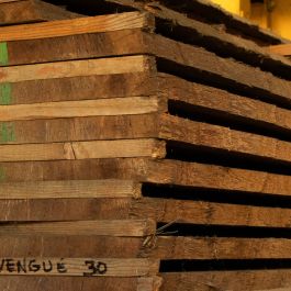 Plot Wengé - détail - B comme Bois